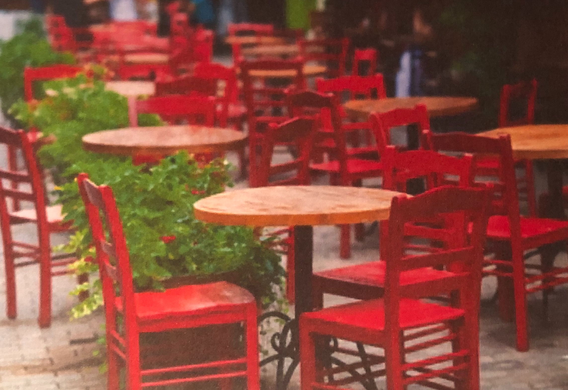 HOUSECALLS – The Elephant's Trunk