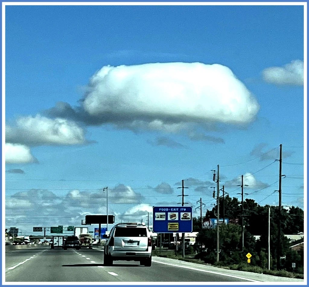 A Bad Sign – The Elephant's Trunk