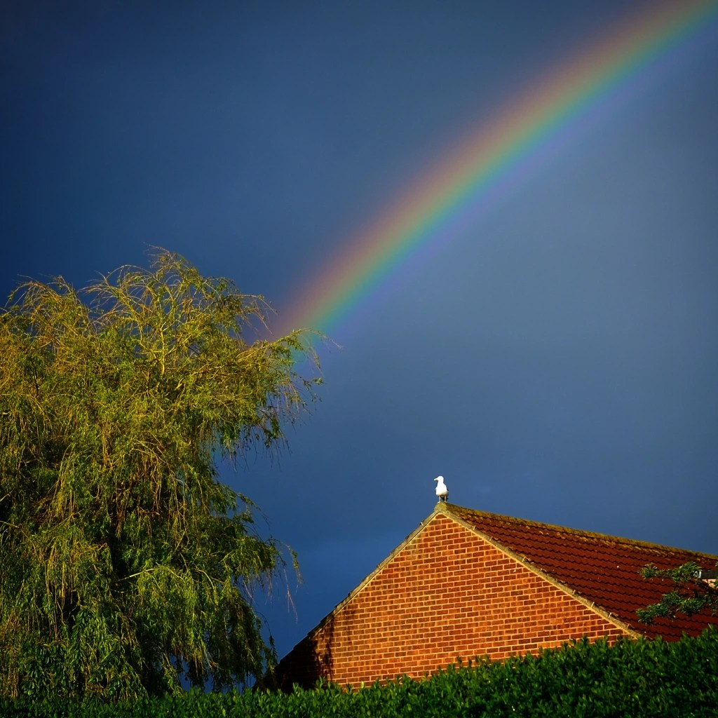 Lofty Ambitions – The Elephant's Trunk