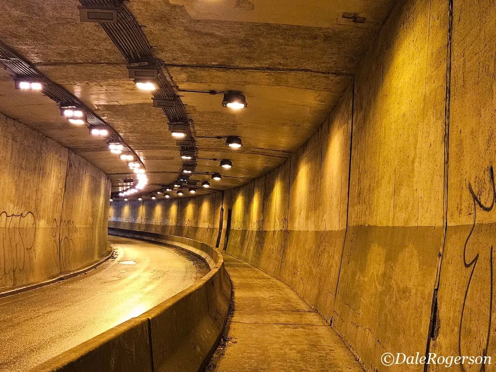 Palisades Park – The Elephant's Trunk