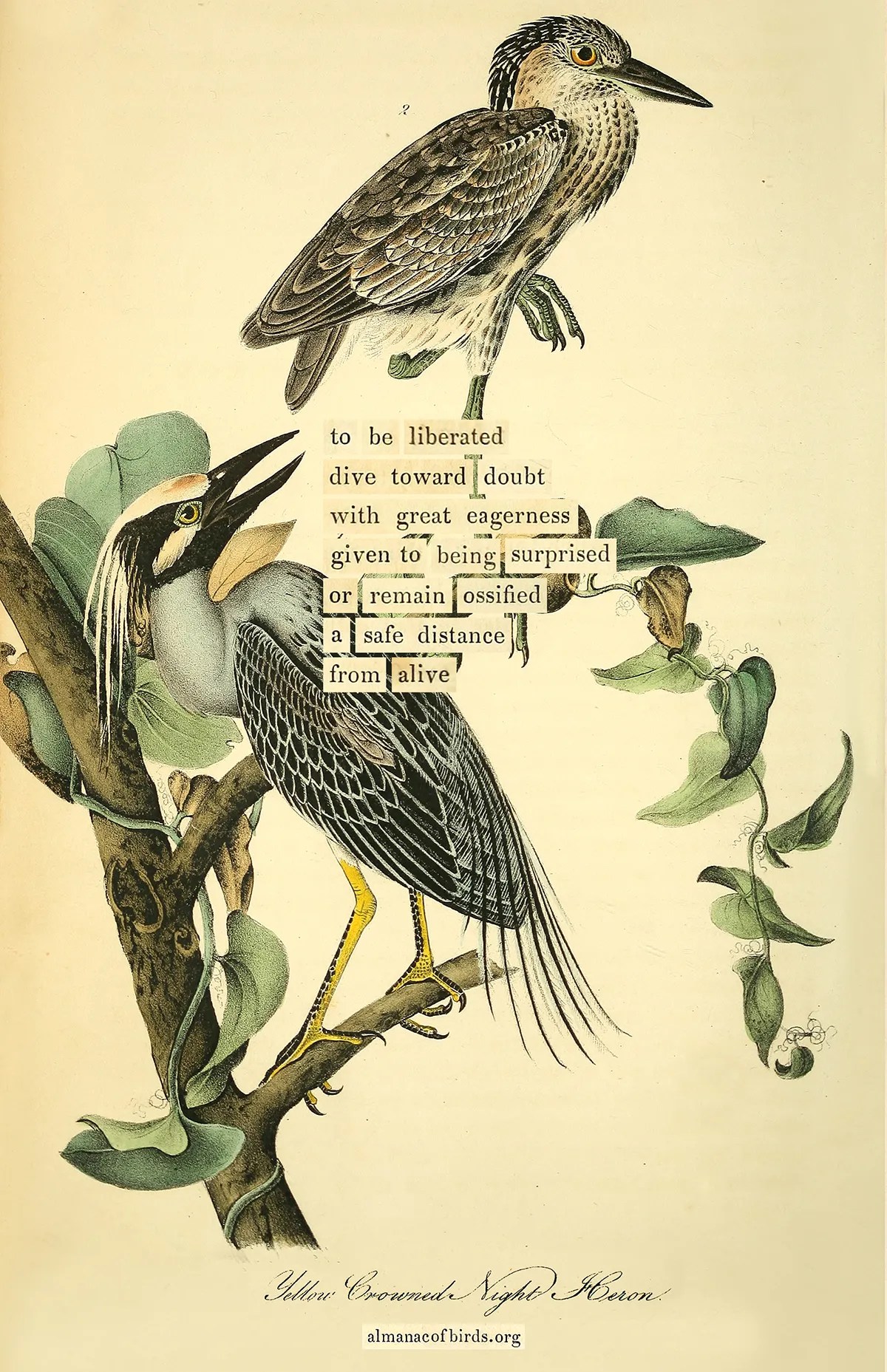 Free As A Bird: Embracing The Panic – The Elephant's Trunk