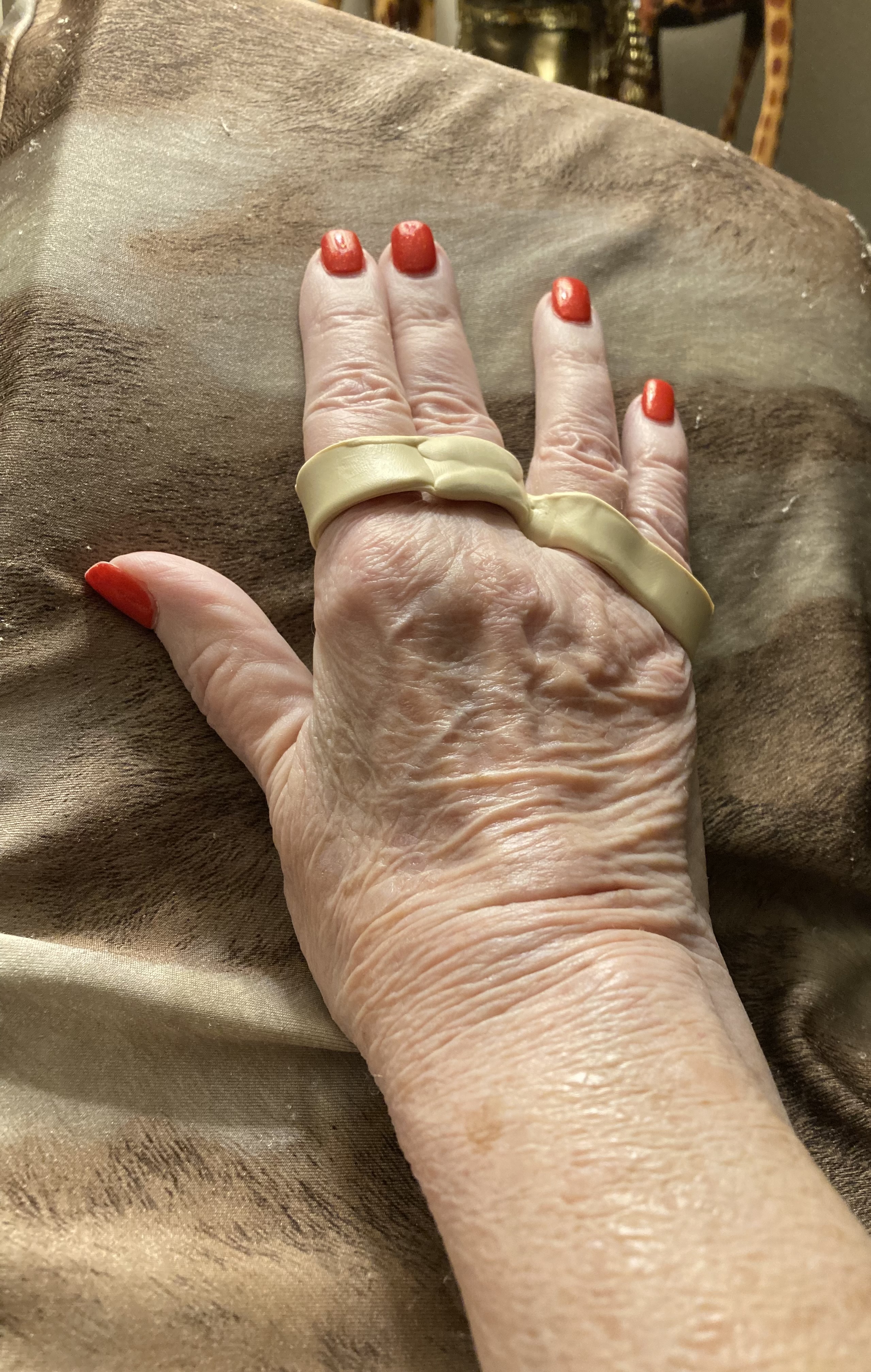 Cyster Update – The Elephant's Trunk