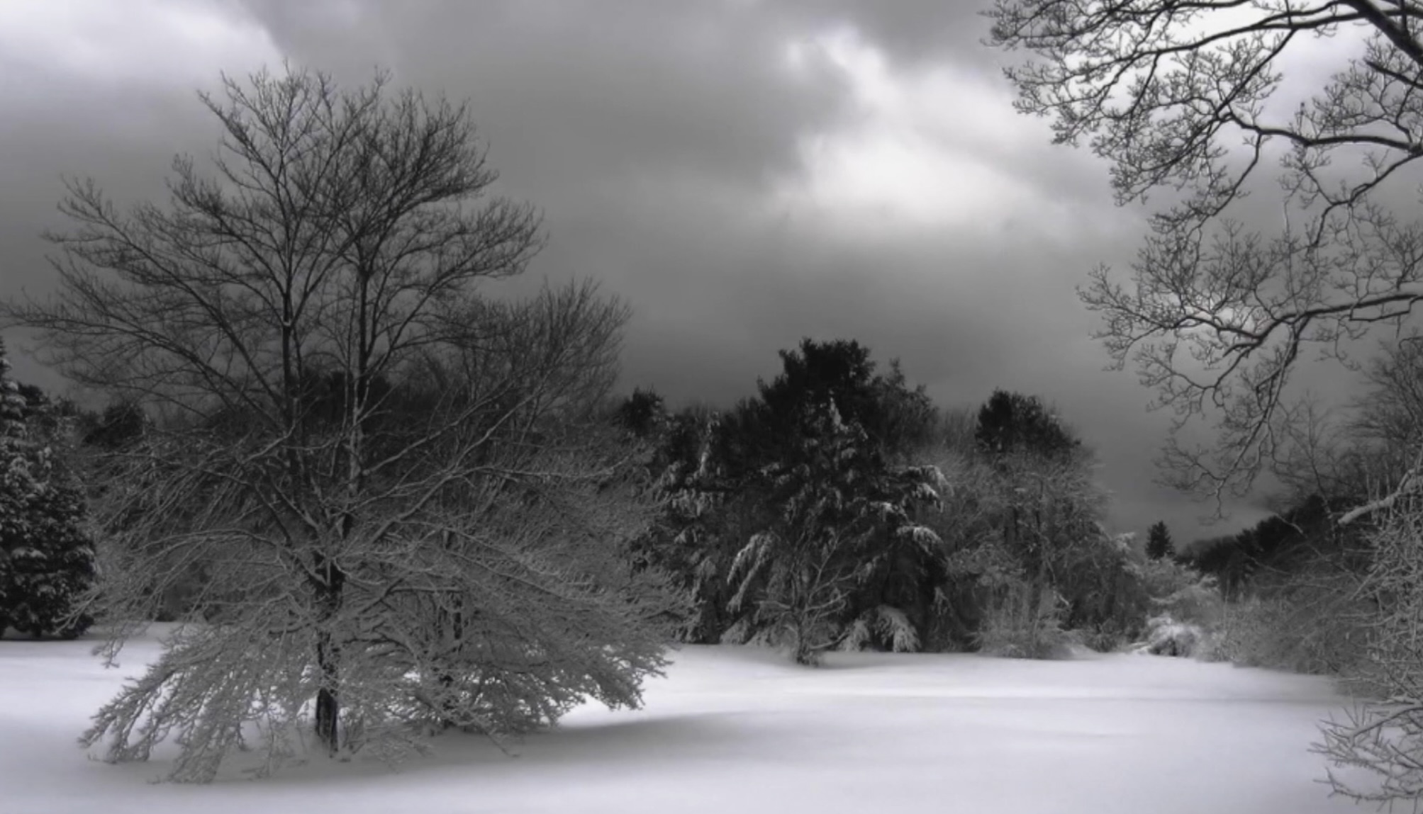 Winter Storm – The Elephant's Trunk