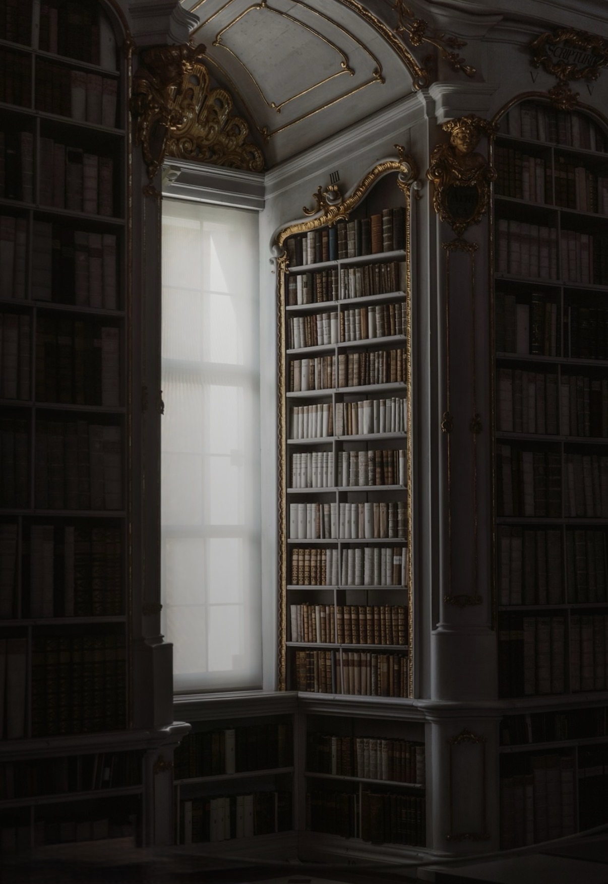 The Seventeenth Shelf – The Elephant's Trunk
